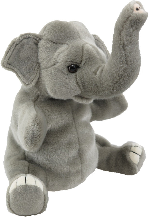 Baby – Brooks & Co.